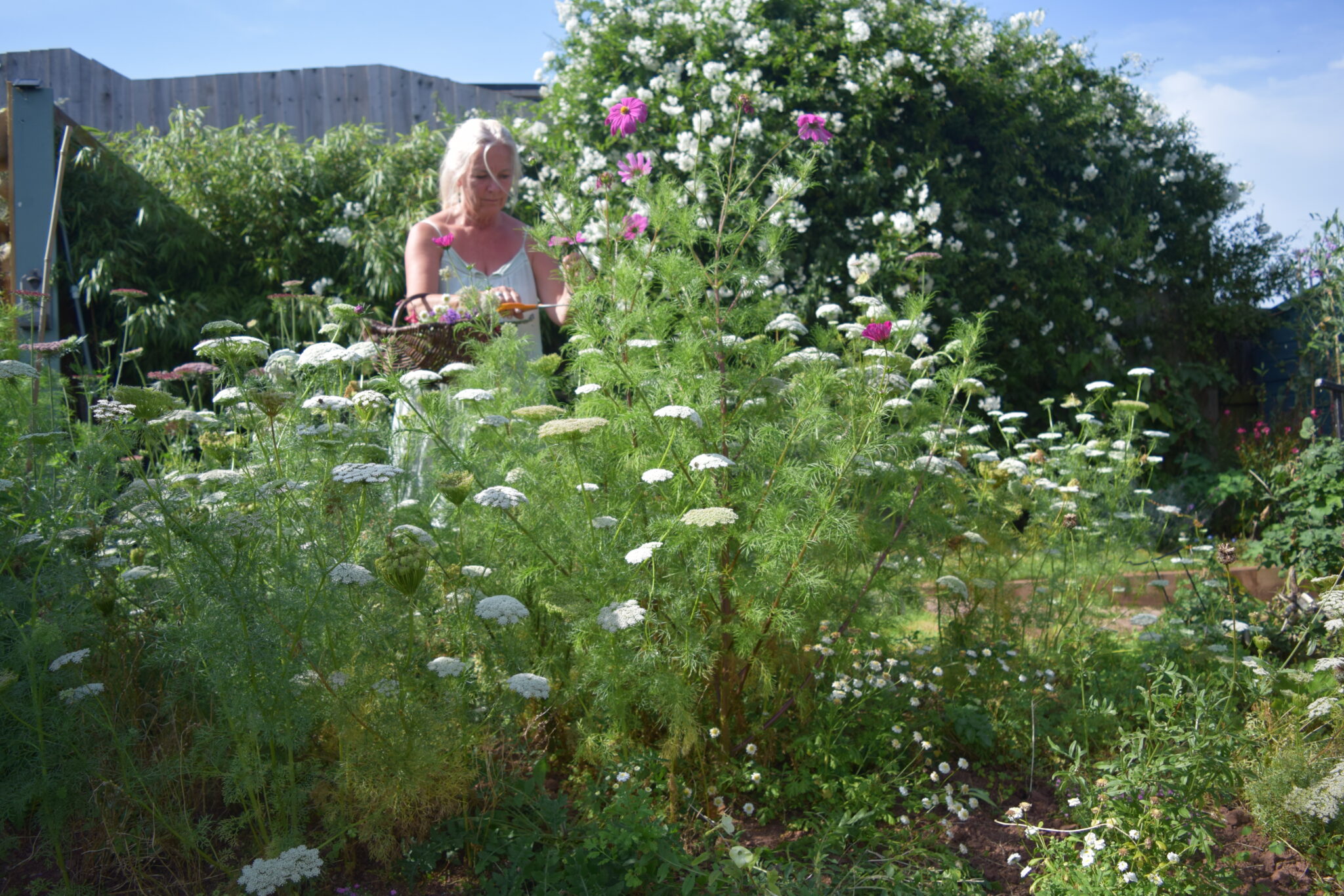 Home | Cockington Court